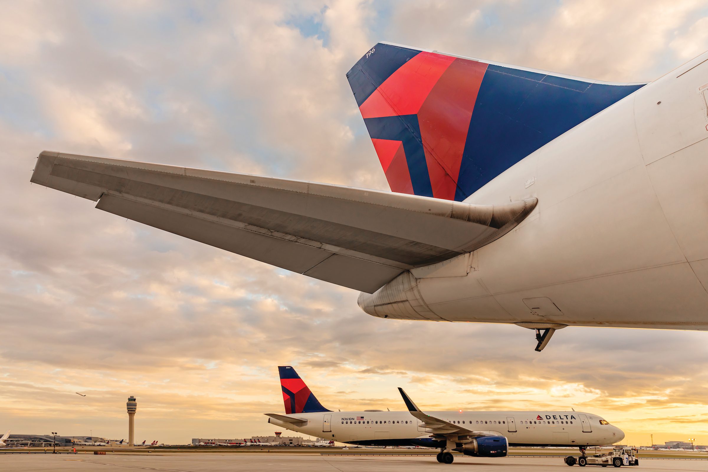 Bird strike Delta Air Linesa | Avio Press